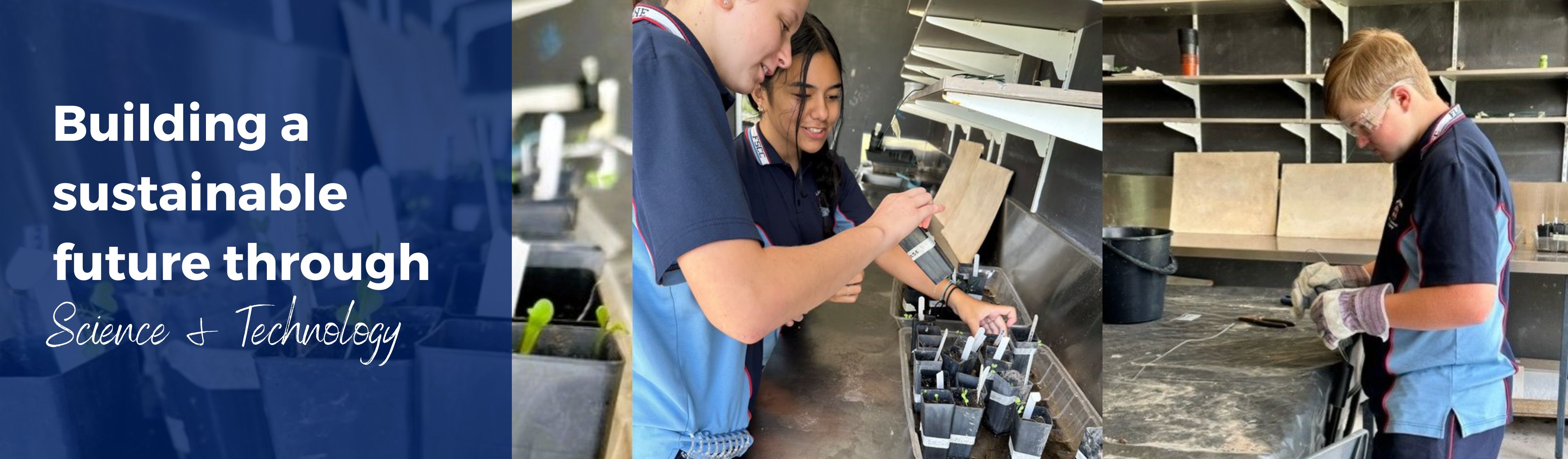 Flagstone State Community College